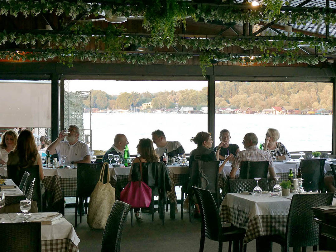 Stari Pingvin | Stari Pingvin Novi Beograd, Savski Kej BB, Blok 70.