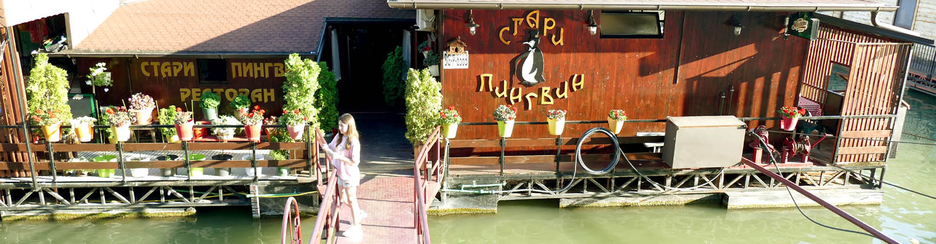 Kontakt | Stari Pingvin | Old school - Old penguin.